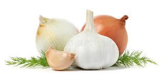 Olam International | What's your great idea for a new onion or garlic ...